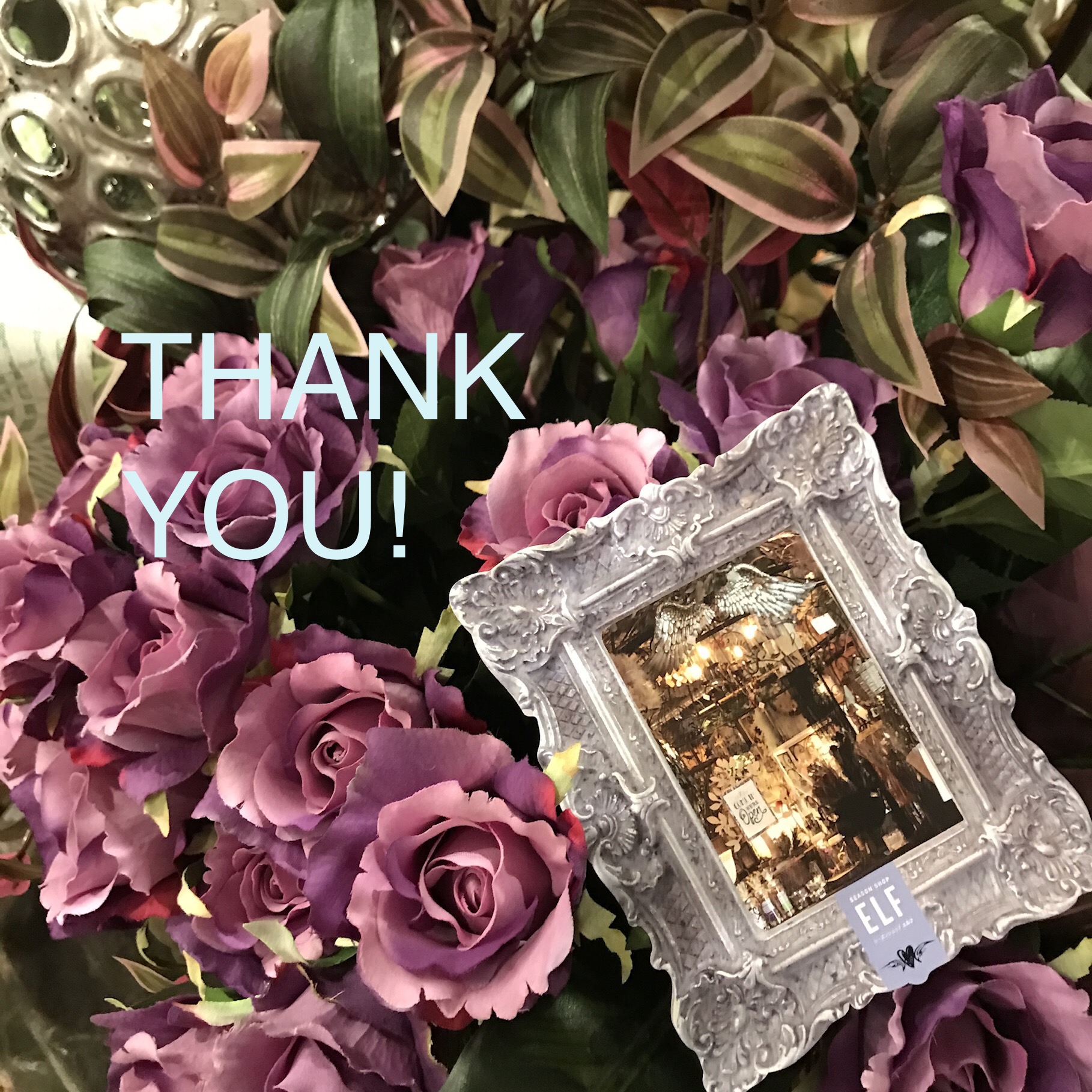 26周年スタート！ | Season Shop ELF